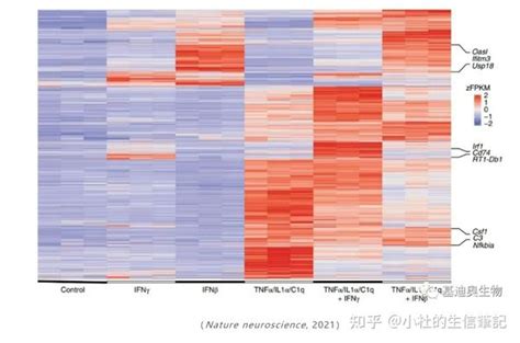 热图添加指定的基因标记（代码重现） 收藏 知乎