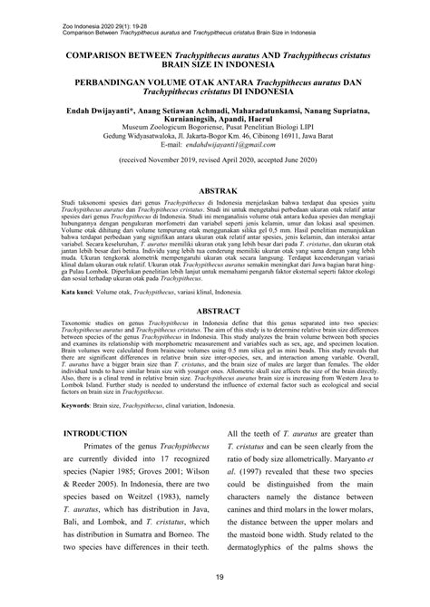 Pdf Comparison Between Trachypithecus Auratus And Trachypithecus Cristatus Brain Size In Indonesia