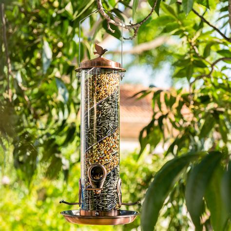Nest Flix Smart Bird Feeder With Camera