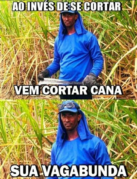 Alcatéia Meme By Lactobacillus Memedroid♉️ Experimente A Emoção