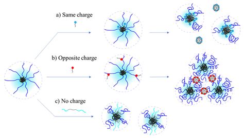 Interactions Between An Associative Amphiphilic Block Polyelectrolyte