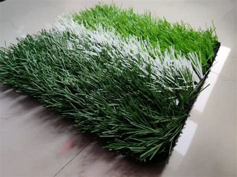 Ccgrass Energy 50mm Artificial Grass For Outdoor At Best Price In Mumbai