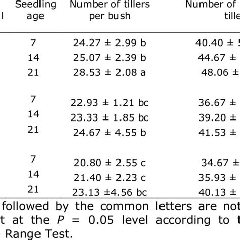Number Of Tillers Per Bush And Number Of Productive Tillers Of Ciherang