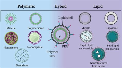 Different Classes Of Polymeric And Lipid Nanoparticles Hybrid