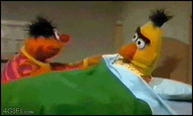 Bert Gets Angry