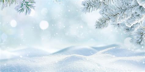 클로즈업된 눈 더미와 눈으로 덮인 가문비나무 가지가 있는 원본 배경 이미지 배경 주제에 대한 스톡 사진 및 기타 이미지 배경 주제 크리스마스 0명 Istock