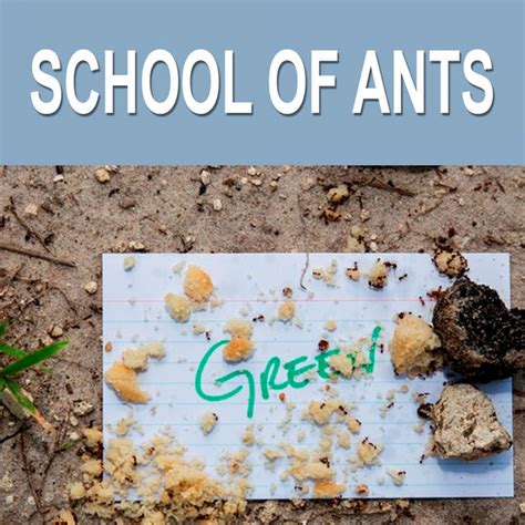 School Of Ants Usa Scistarter
