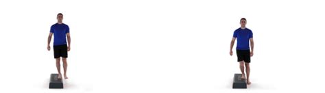 Lower Limb Exercise And Education North Tees And Hartlepool Nhs