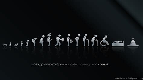 Funny 4k Wallpapers Wallpaper Cave