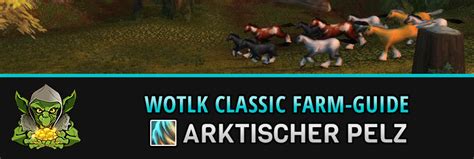 Wow Farming Arctic Pelt Wotlk Classic Farm Guide