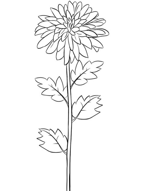 꽃 색칠 공부 🌷🌻 Pepelt