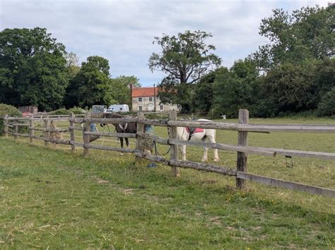 Twinstead Riding School Star Looking Beautiful Facebook