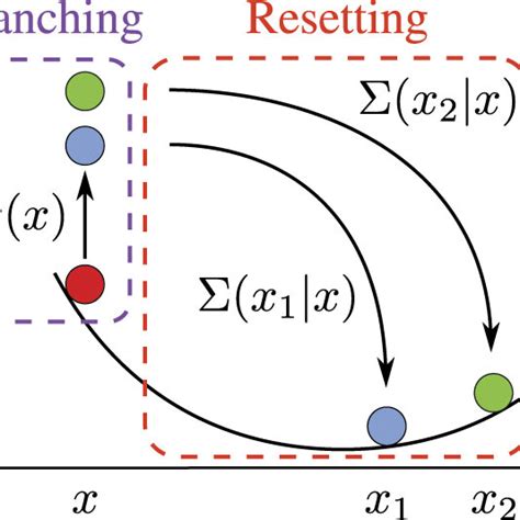 Illustration Of A Particle Branching Into M 2 Particles Each Of