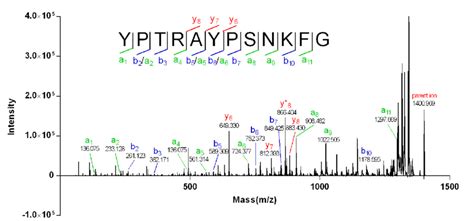 Maldi Tof Ms Ms Spectrum Of Mr 2 Serial B Y Ions And A Ions Generated Download Scientific