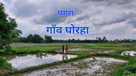 Bihar Me Gajab Ki Kheti Kiya Jata Hai Youtube