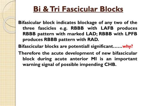 PPT BUNDLE BRANCH BLOCK PowerPoint Presentation Free Download ID