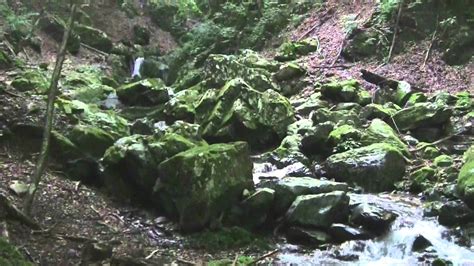 納涼水根沢谷東京都奥多摩町 YouTube