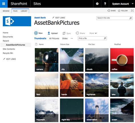 Sharepoint Digital Asset Management Integration Asset Bank