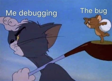 Debugging Bug 1 Coder 0 Careerxperts Consulting