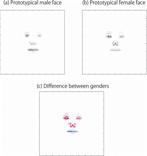 Analysis Of The Facial Features Represented By Input Gabor Filters That