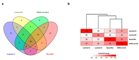 A Transcriptome And Interactome Based Analysis Identifies Repurposable Drugs For Human Breast