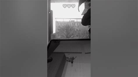 좋아요를 누르면 족도가 빨라집니다 컨샙 또이또이♡ Youtube