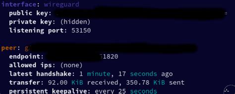 Bypass All Traffic From One Port Through Wireguard Network And Wireless Configuration