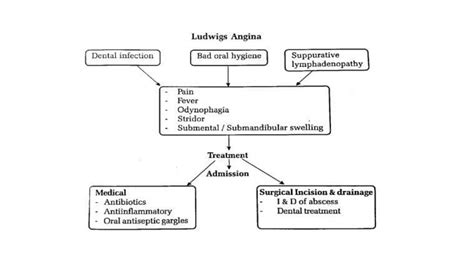 Ludwigs Angina Presentation Cellulitispptx