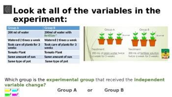 Variable And Control Homework By Nicole Marino TPT