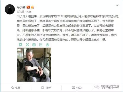 金马影帝冯小刚铁汉柔情，讲述与流浪狗的邂逅硬汉