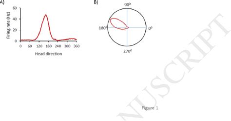 Figure 2 From A New Perspective On The Head Direction Cell System And Spatial Behavior