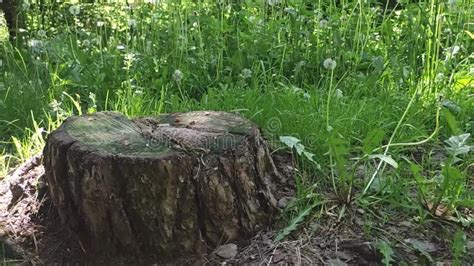 Hand Held Camera Shooting For Tracking 3d Objects Or Text Stock Video Video Of Landscape