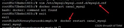Canal介绍和使用docker安装canalqq63f87738d96a0的技术博客51cto博客