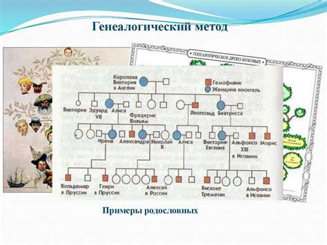 Методы изучения генетики человека Online Presentation
