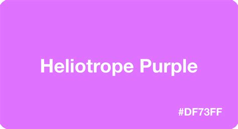 Heliotrope Purple Df73ff Color Codes And Palettes Heliotrope Purple Df73ff Color Codes And Palettes