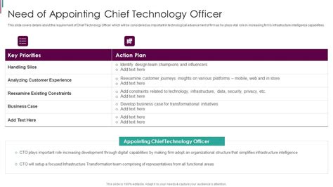 Developing Business Analytics Framework Need Of Appointing Chief Technology Officer Graphics Pdf