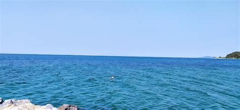 27 αξιολογήσεις για Αγια Παρασκευη Εκκλησία στην Κασσάνδρα Κεντρική Μακεδονία