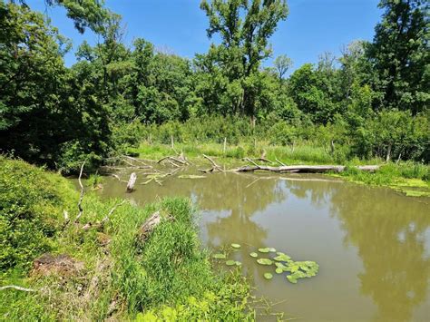 Podařilo Se Pokosit 240 Hektarů Luk A Ošetřit 120 Starých Dubů V Chko