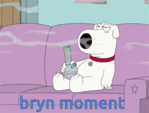 Bryn Moment Bryn  Bryn Moment Bryn Bryan Descubre Y Comparte 
