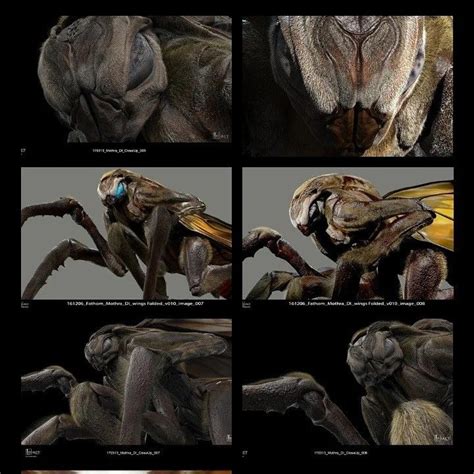 Pin De Kevin Villalba En Monster Verse Cartas Mágicas Queen Rey Leon