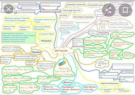 Draw A Mind Map Show Cell Components Cell Organelles Its Discoveries