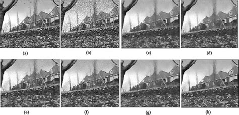 Visual Comparisons Among The Proposed And Various Other Denoising