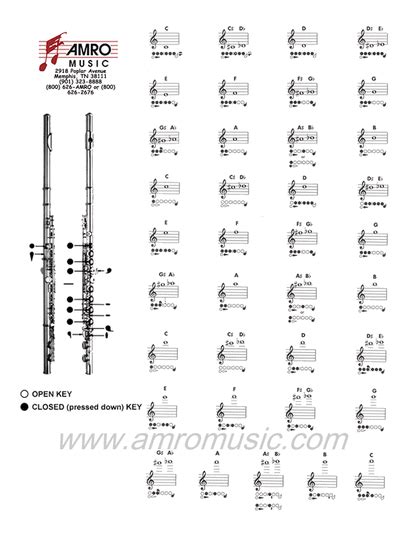 Flute Lesson Videos The Flute