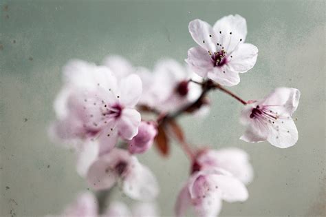 Blending Textures In Photoshop With The Blend If Setting Photofocus