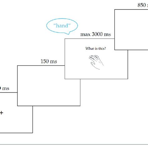 An Example Of A Naming Trial Showing The Sequence Of Frames And The