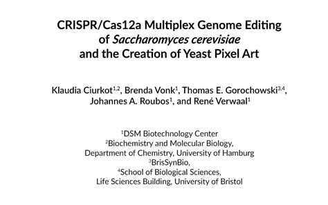 酿酒酵母的 Crispr Cas12a多重基因组编辑和酵母像素艺术创造 哔哩哔哩 Bilibili