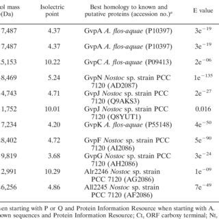Sequence Analysis Results Download Table