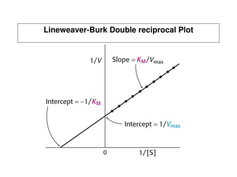Ppt Enzyme Activity Measurements And Physiological Significance