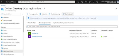 Screen Shot Identity Api Scope Approval Ui Polreimages