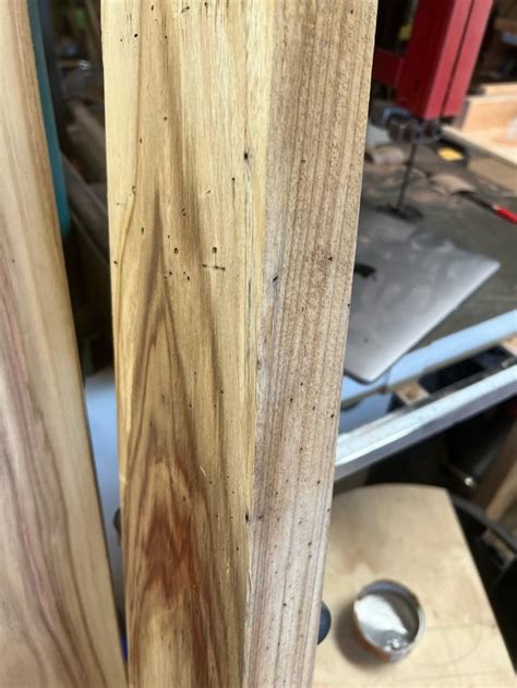 Canary Wood With Small Bug Holes Common Second Time Ive Gotten It